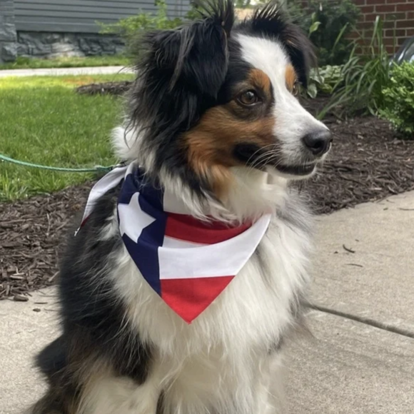 Everything Pets Posh Party on Poshmark